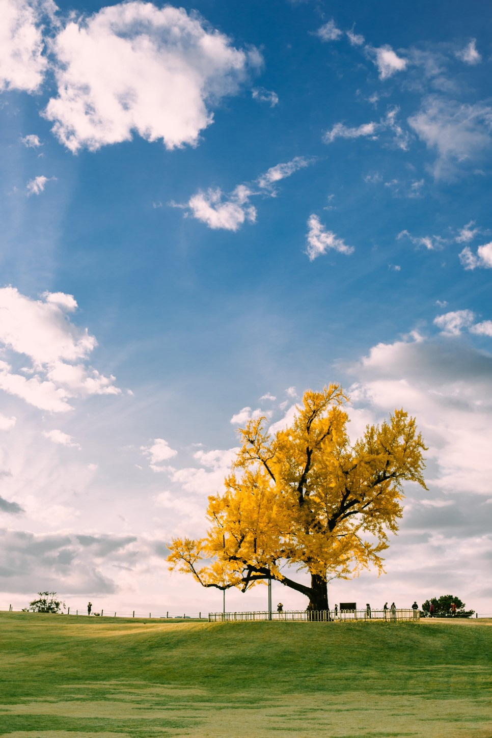 [캐논 피플] 사진에 설탕 한 스푼을 더하는 SNS 인기 사진작가 낭만배군 - 캐논코리아 주식회사